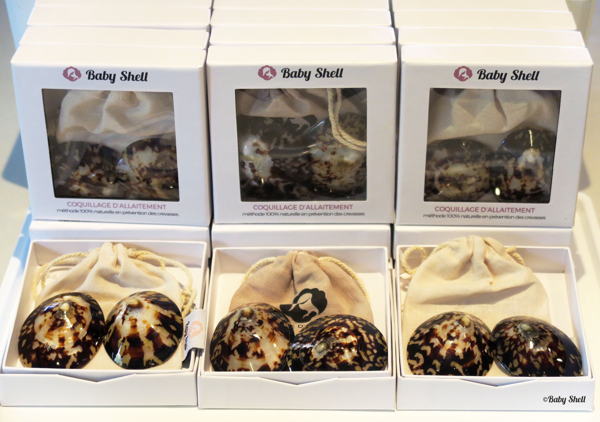 boite-babyshell2 - Baby Shell